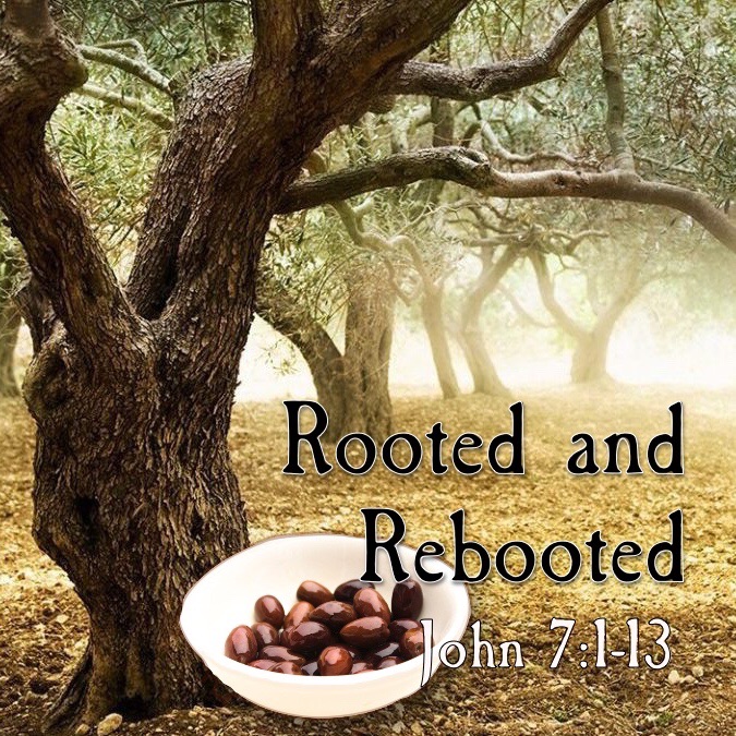 2018-11-04 Message- Embracing An Olive Tree Faith – Cold Spring Church